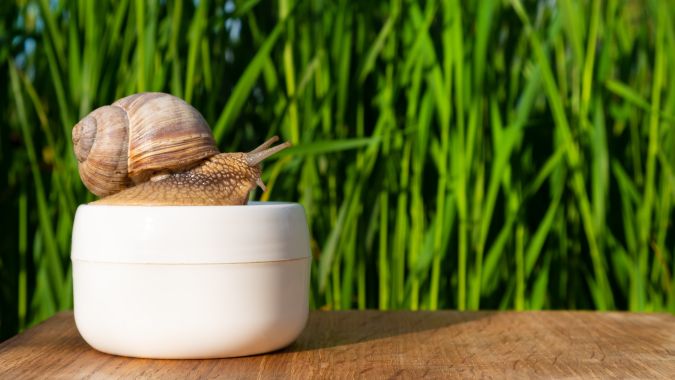 Por qué la baba de caracol es tan recomendada para el cuidado de la ...