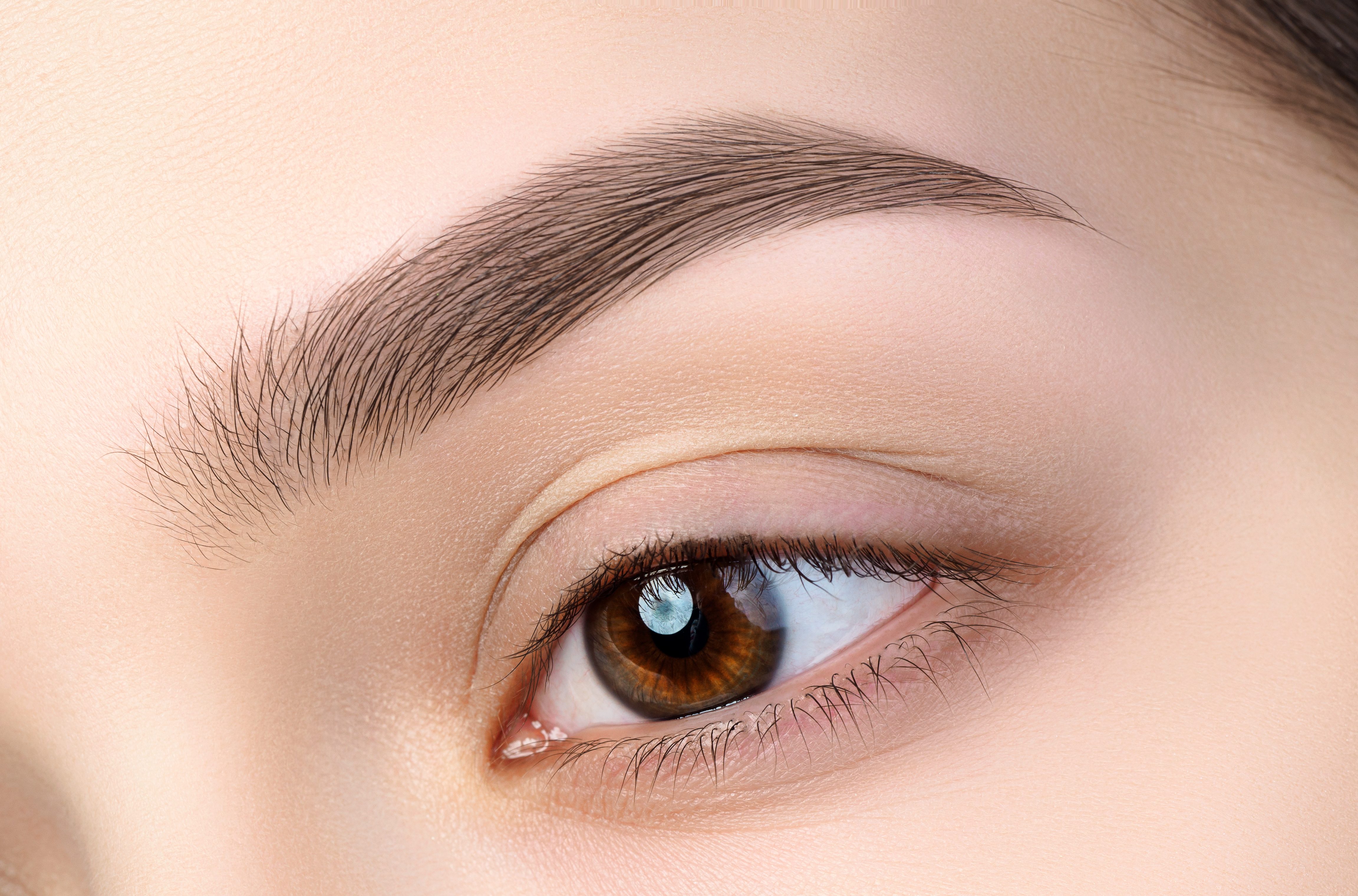 Brow Magic de L'Oréal: la nueva herramienta digital para determinar el ...