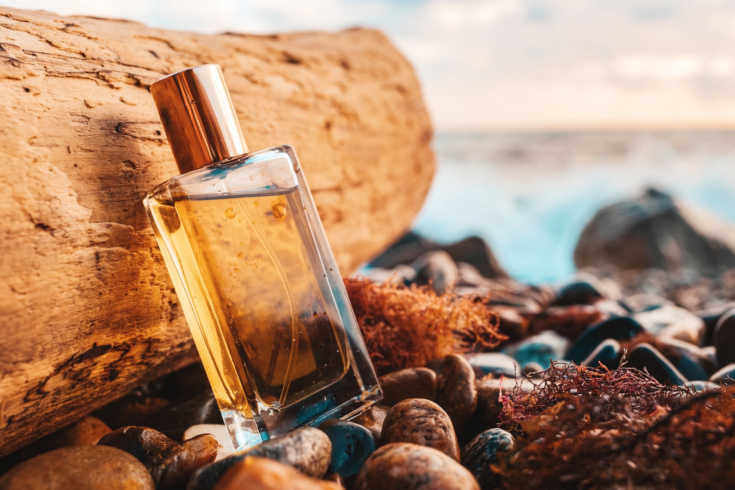 5 populares perfumes amaderados que te dejarán un aroma sensual y ...
