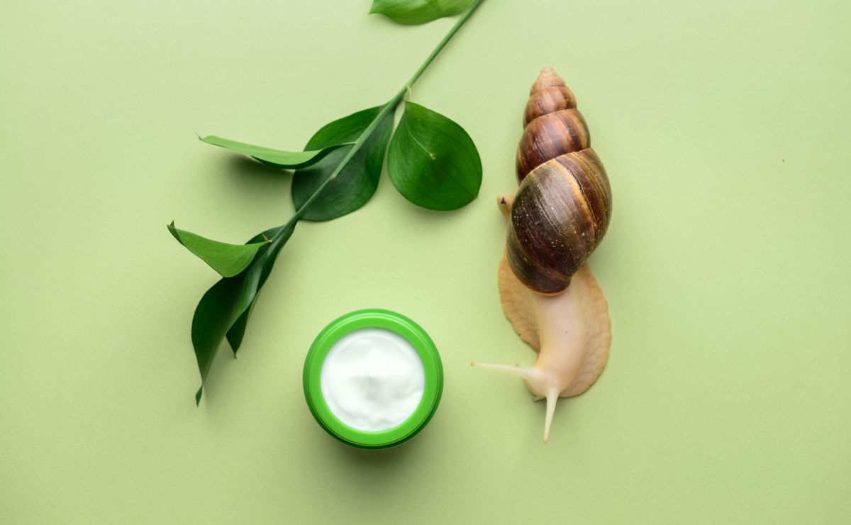 Cuáles son los productos con baba de caracol de Cosrx que mejoran el ...